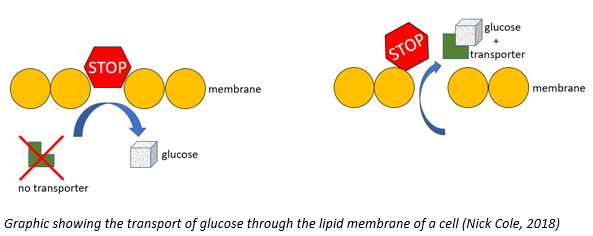 Exercise after diagnosis - a closer look at the evidence - MND Research ...