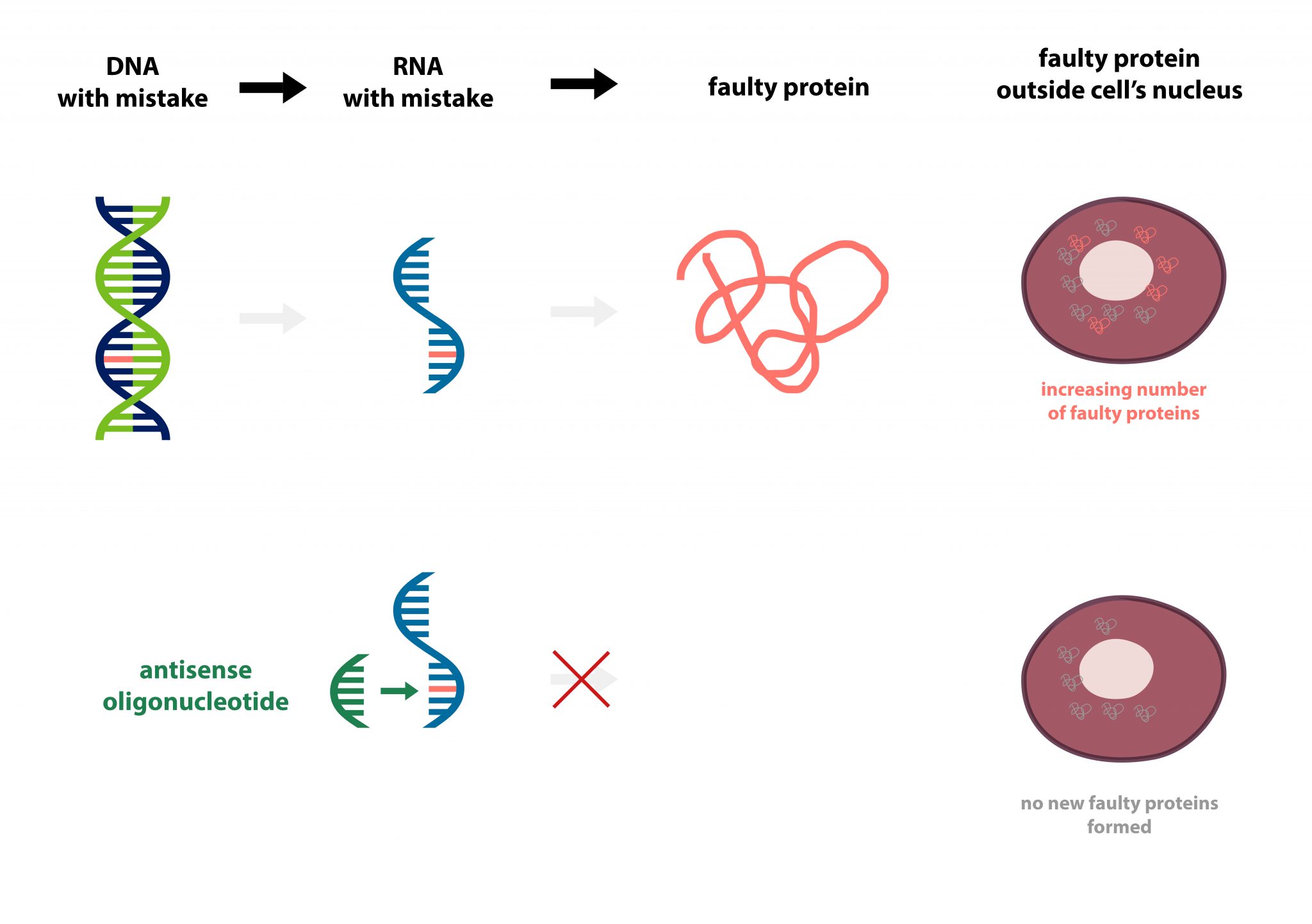 Tofersen: antisense oligonucleotide drug shows promising results in ...