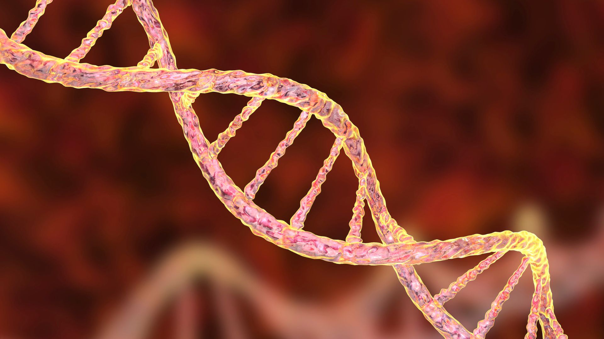 SOD1 MND - searching for more clues in our genes - MND Research Blog