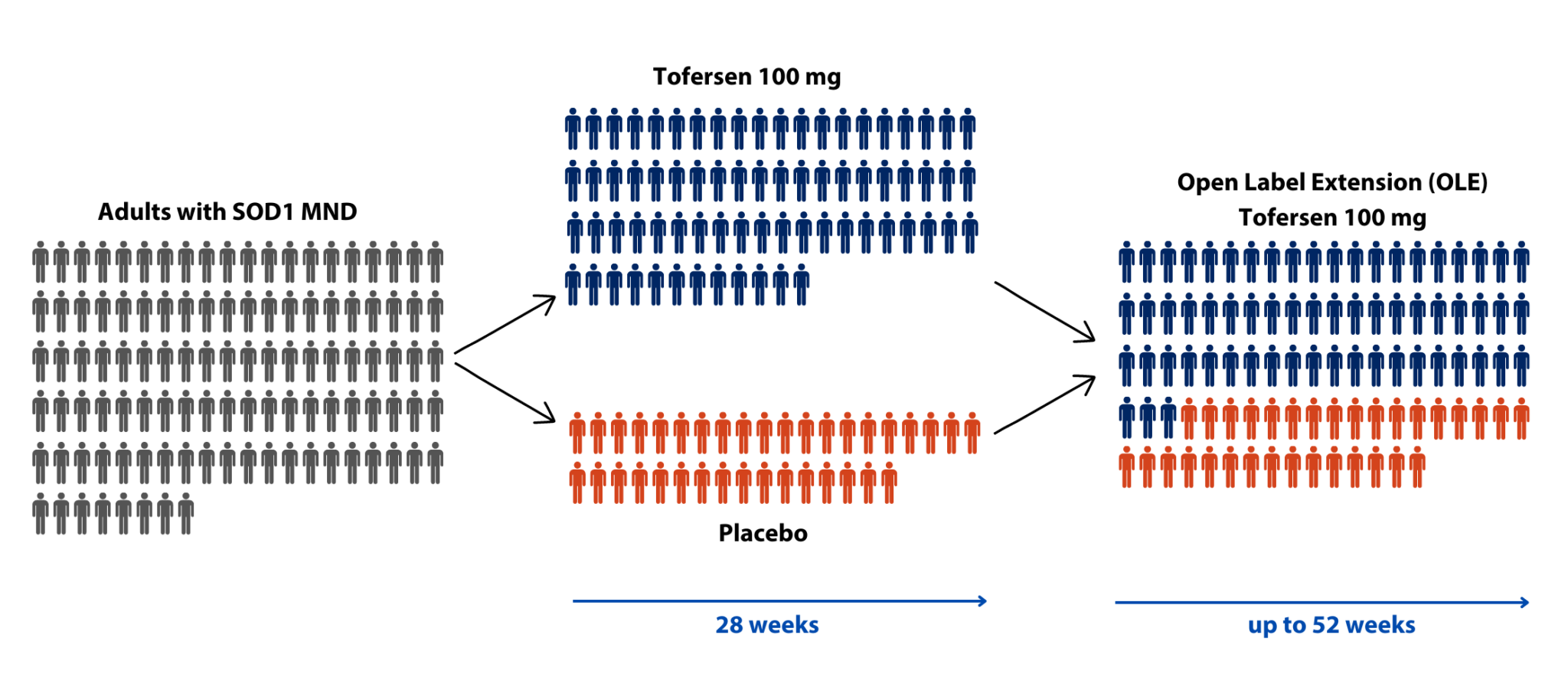 What does the FDA approval of Tofersen mean for the UK MND community ...