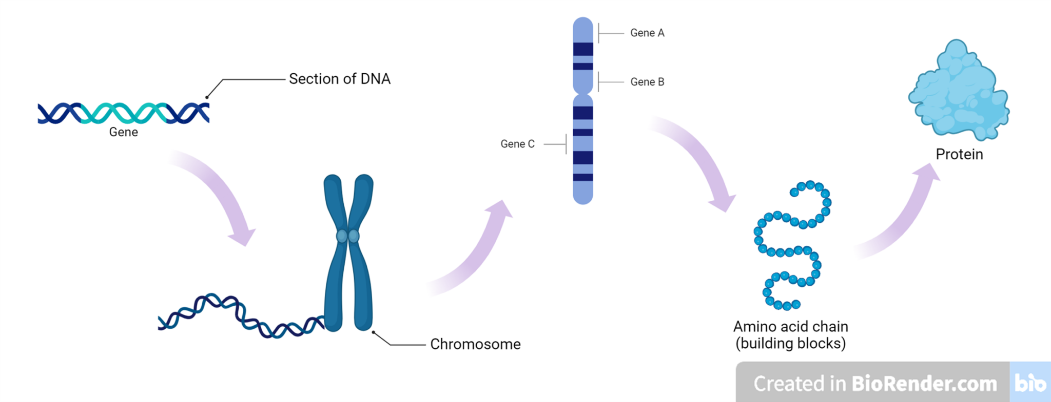 Cracking the genetic code in MND - MND Research Blog
