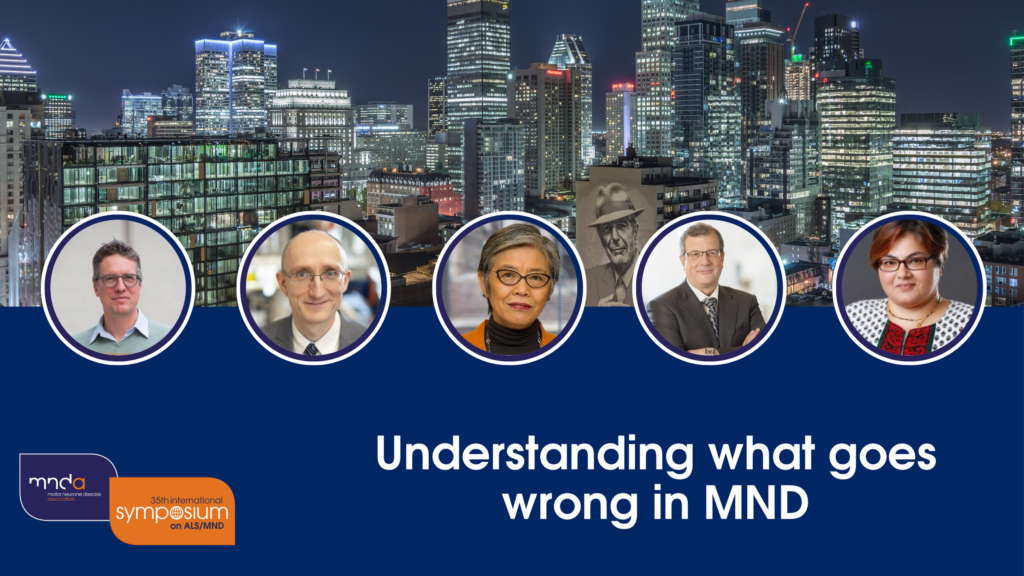 Understanding what goes wrong in MND - MND Research Blog